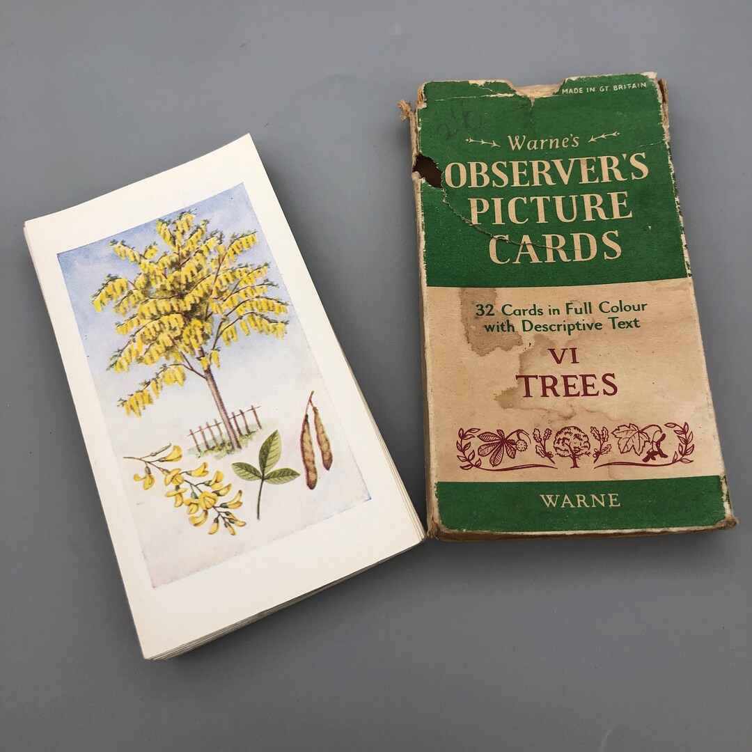 Vintage Warnes Observer Picture Cards Trees - Etsy