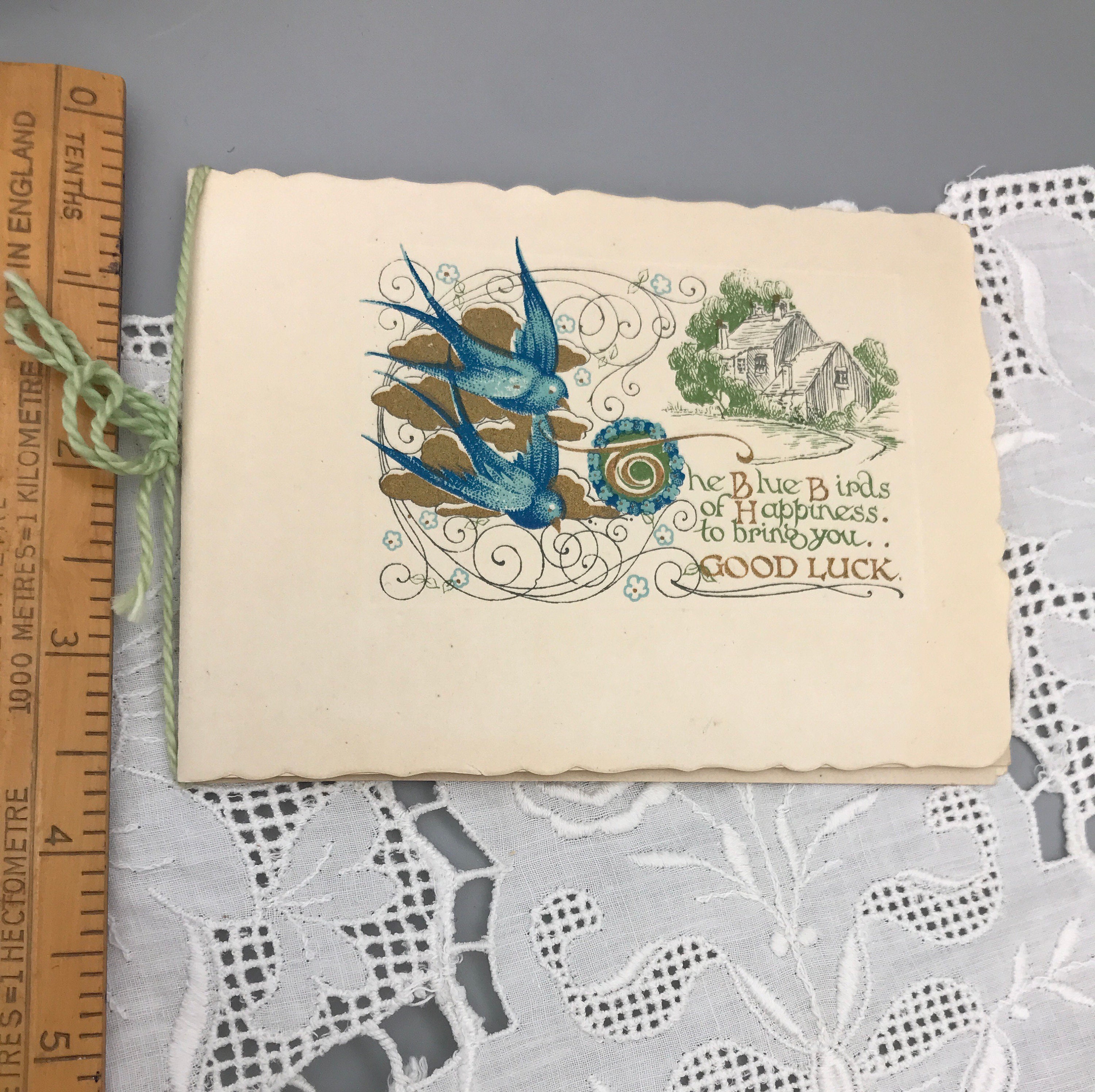 Collection of Edwardian Vintage Cards With Birds - Etsy UK