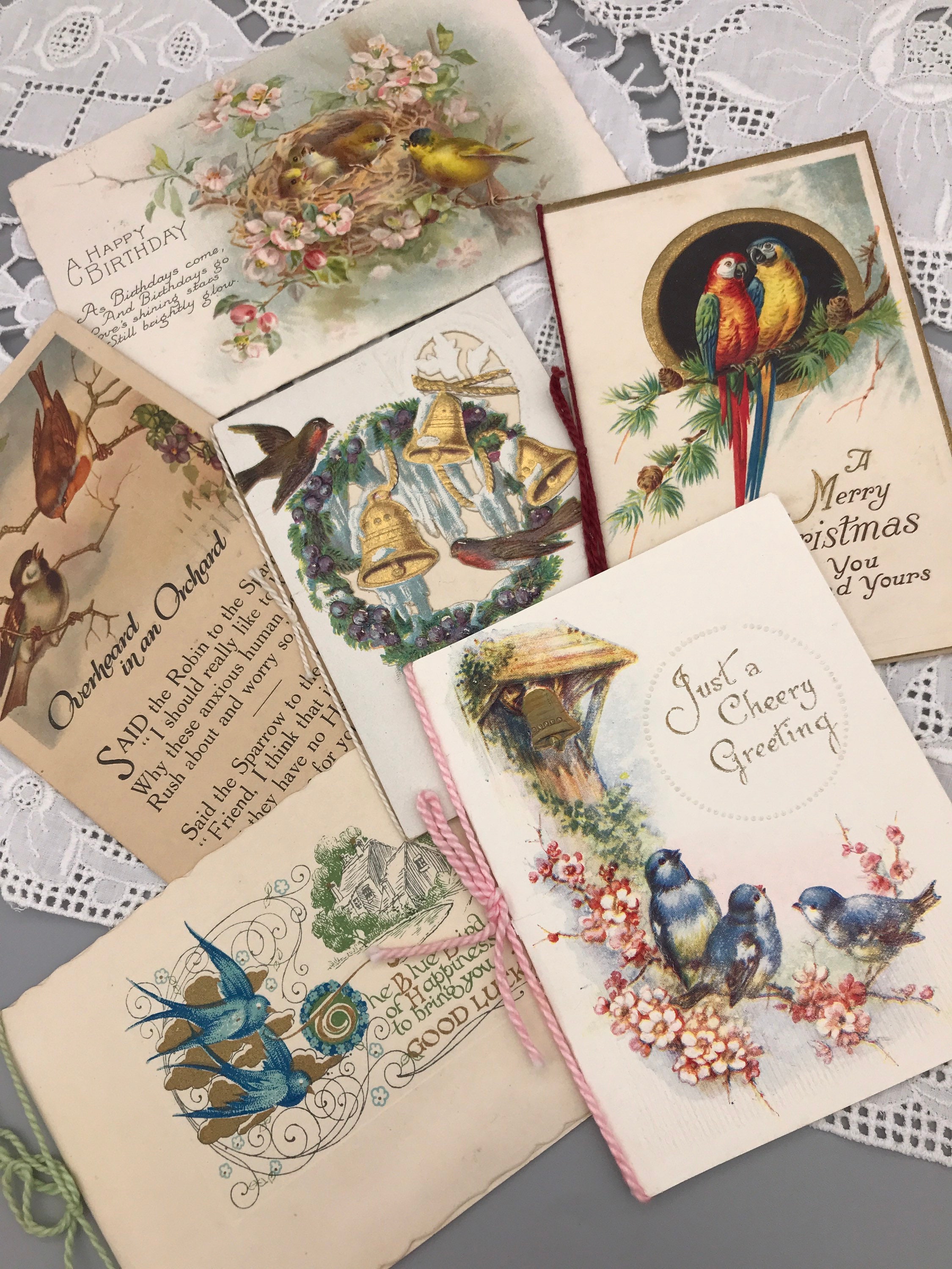 Collection of Edwardian Vintage Cards With Birds - Etsy UK