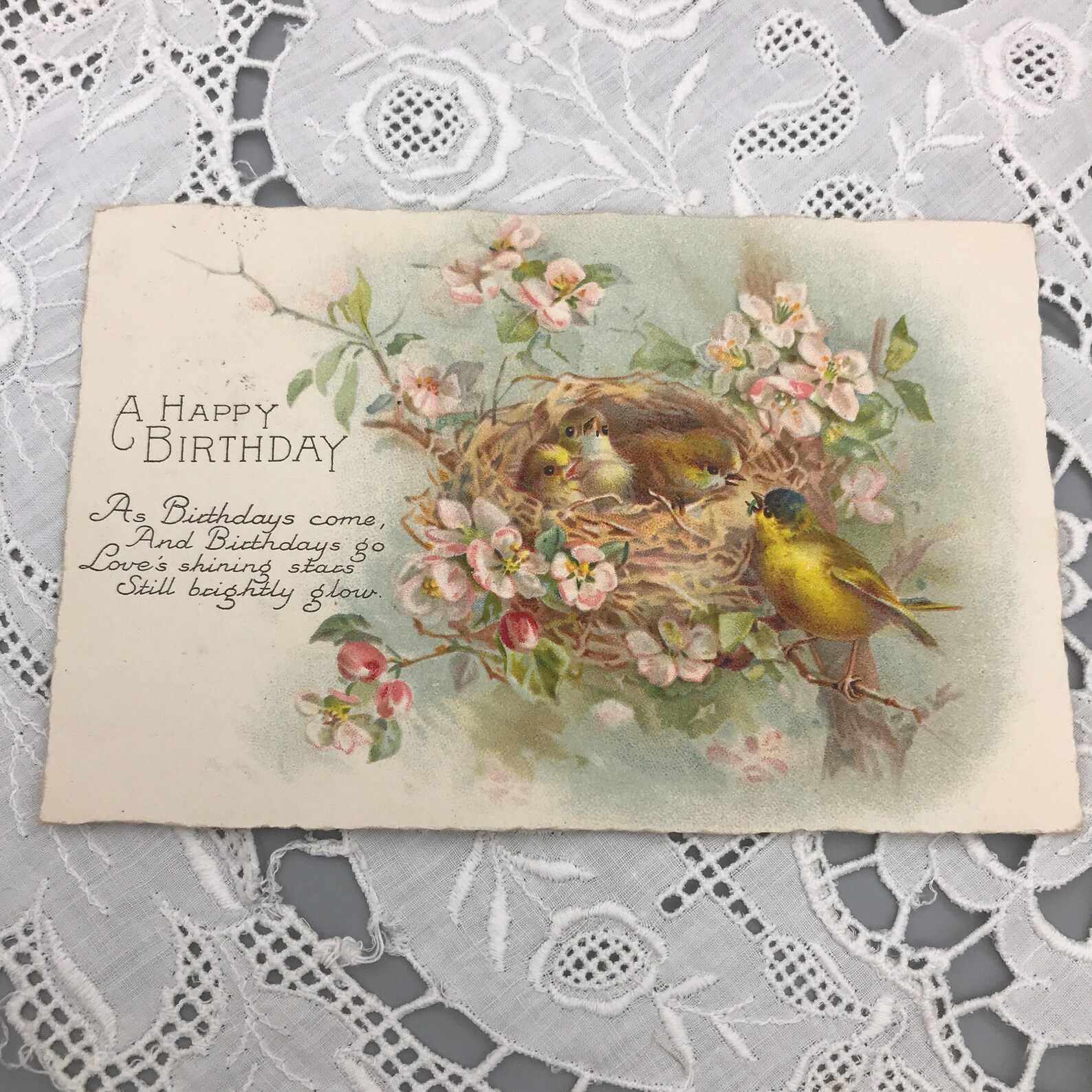 Collection of Edwardian Vintage Cards With Birds - Etsy UK