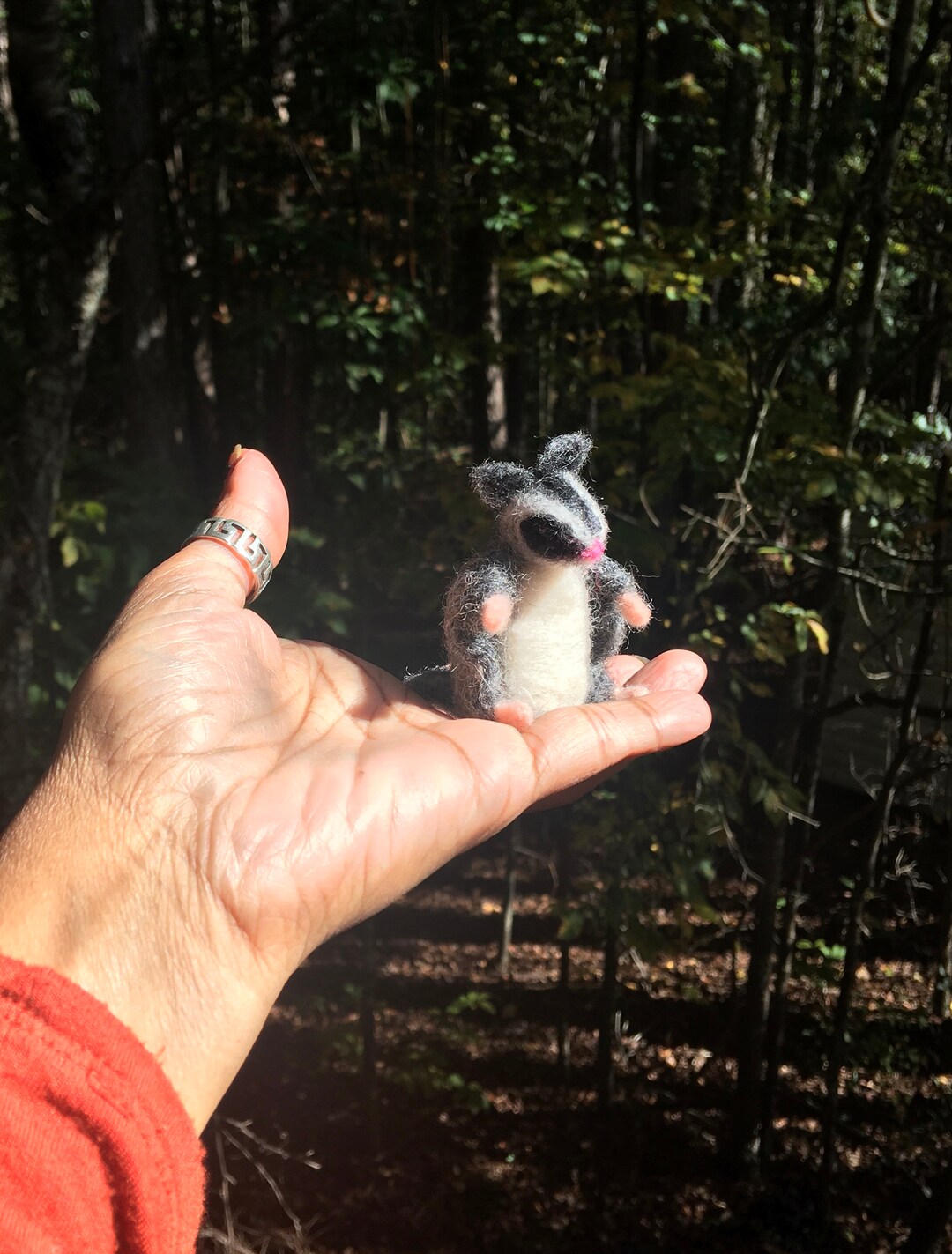 Needle Felted Sugar Glider MADE TO ORDER - Etsy
