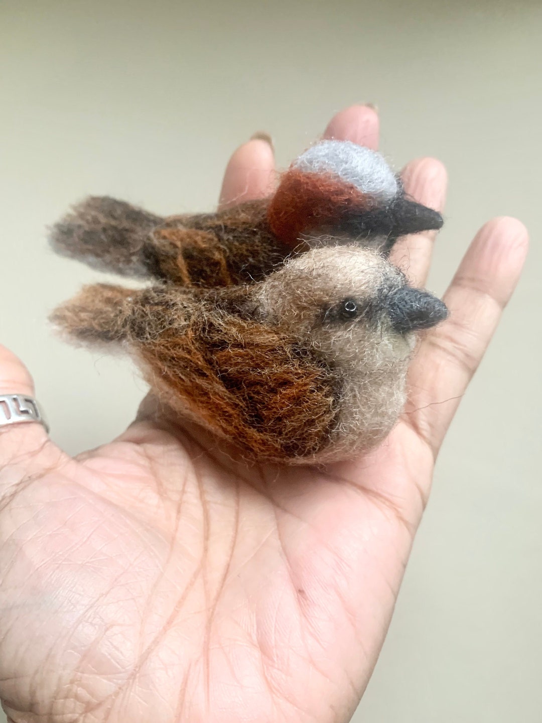 1 Needle Felted House Sparrow, Male or Female MADE TO ORDER - Etsy