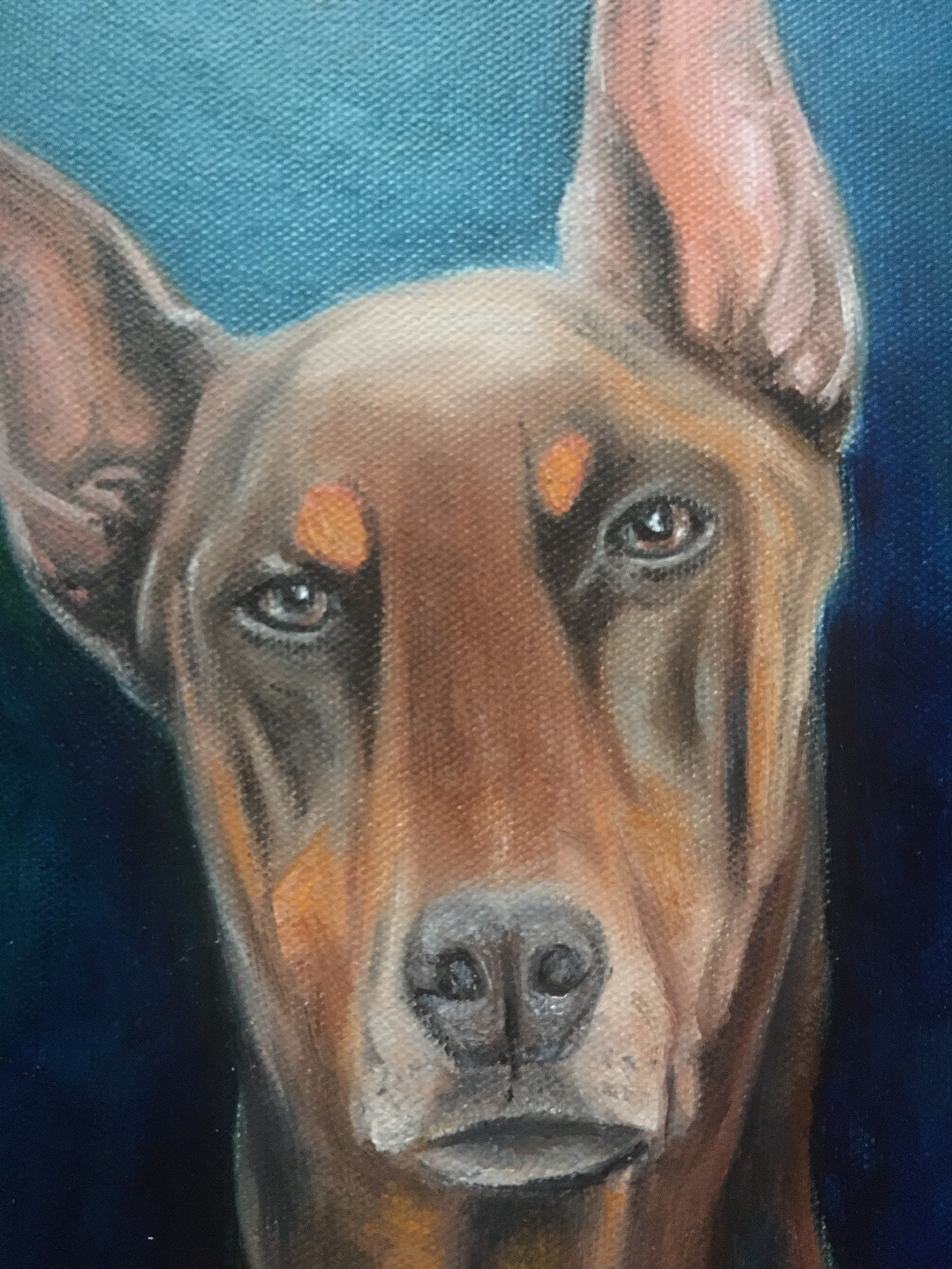 Oil Painting Red Doberman Pinscher Portrait 9 x 12 READY to | Etsy