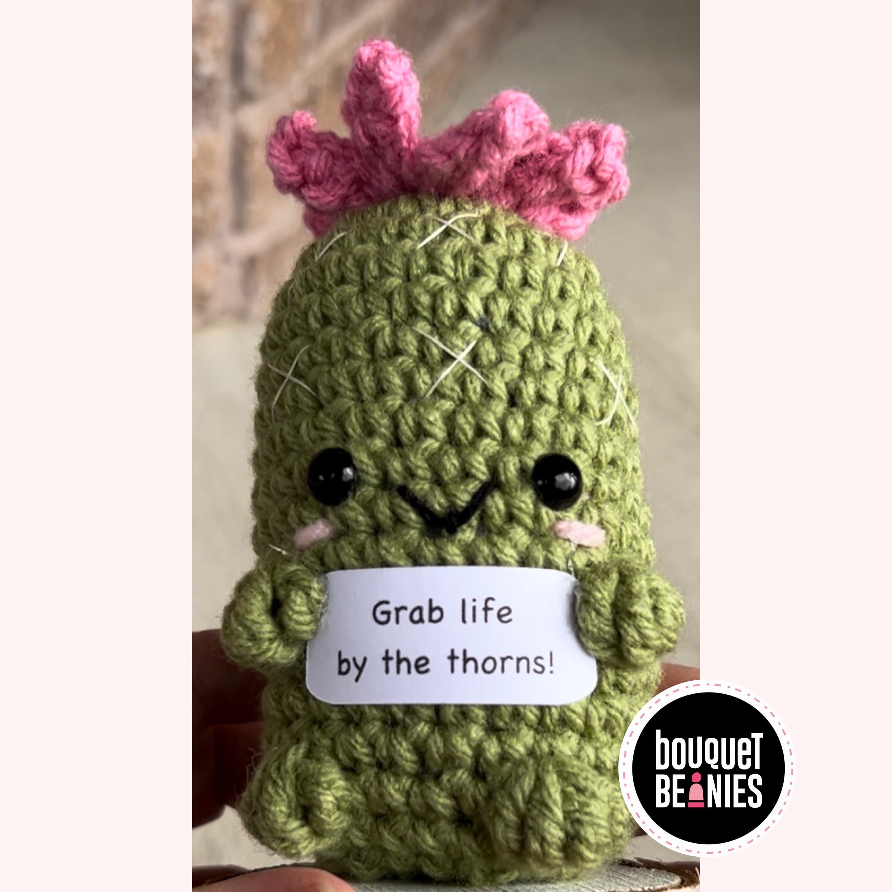 Emotional Support Cactus, Plant Gifts, Cactus Stuffed Animal, Coworker ...