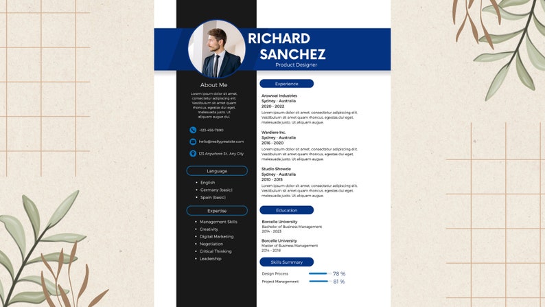 3 Simple Clean Professional Resume Template (CANVA) - Etsy