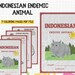 Indonesian Endemic Animals 5 Coloring Pages - Etsy