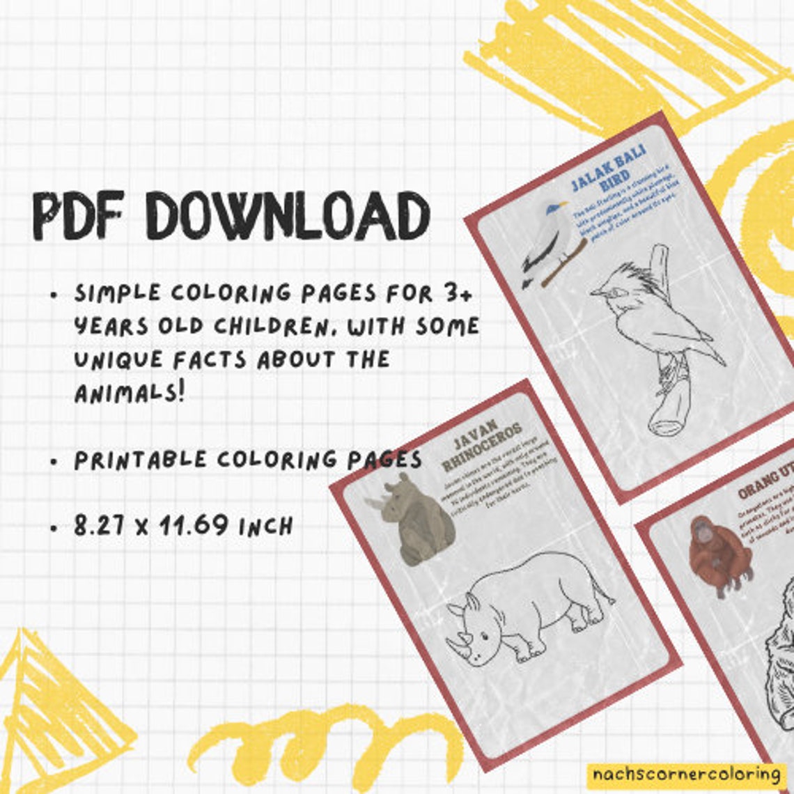 Indonesian Endemic Animals 5 Coloring Pages - Etsy