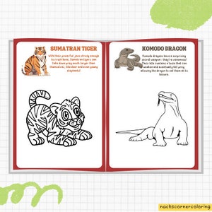 Indonesian Endemic Animals 5 Coloring Pages - Etsy