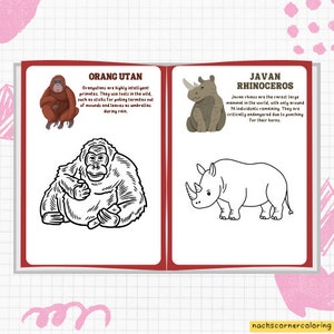 Indonesian Endemic Animals 5 Coloring Pages - Etsy