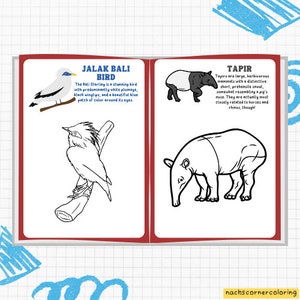 Indonesian Endemic Animals 5 Coloring Pages - Etsy