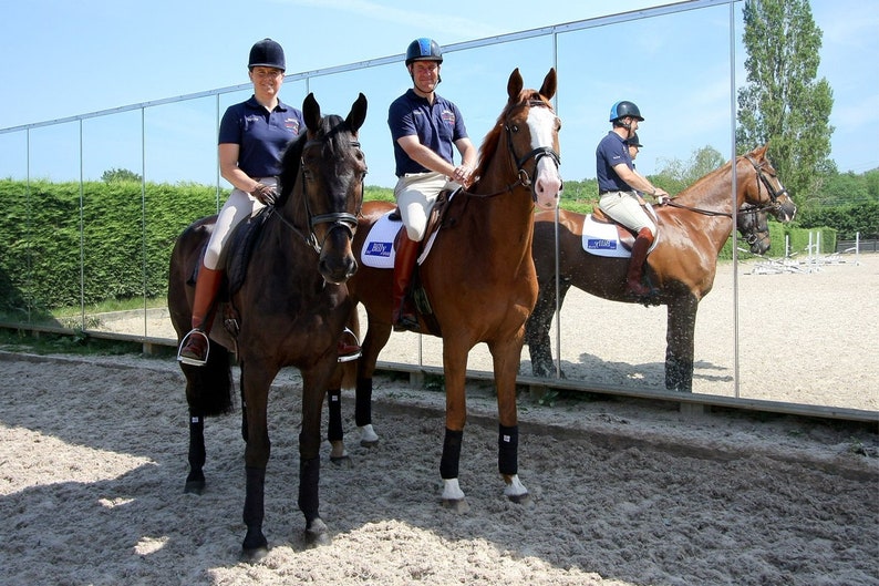 Dressage Arena Mirrors Outdoor/indoor Use Horse Training Improve Your ...