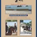 Dressage Arena Mirrors Outdoor/indoor Use Horse Training Improve Your ...