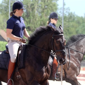 Dressage Arena Mirrors Outdoor/indoor Use Horse Training Improve Your ...