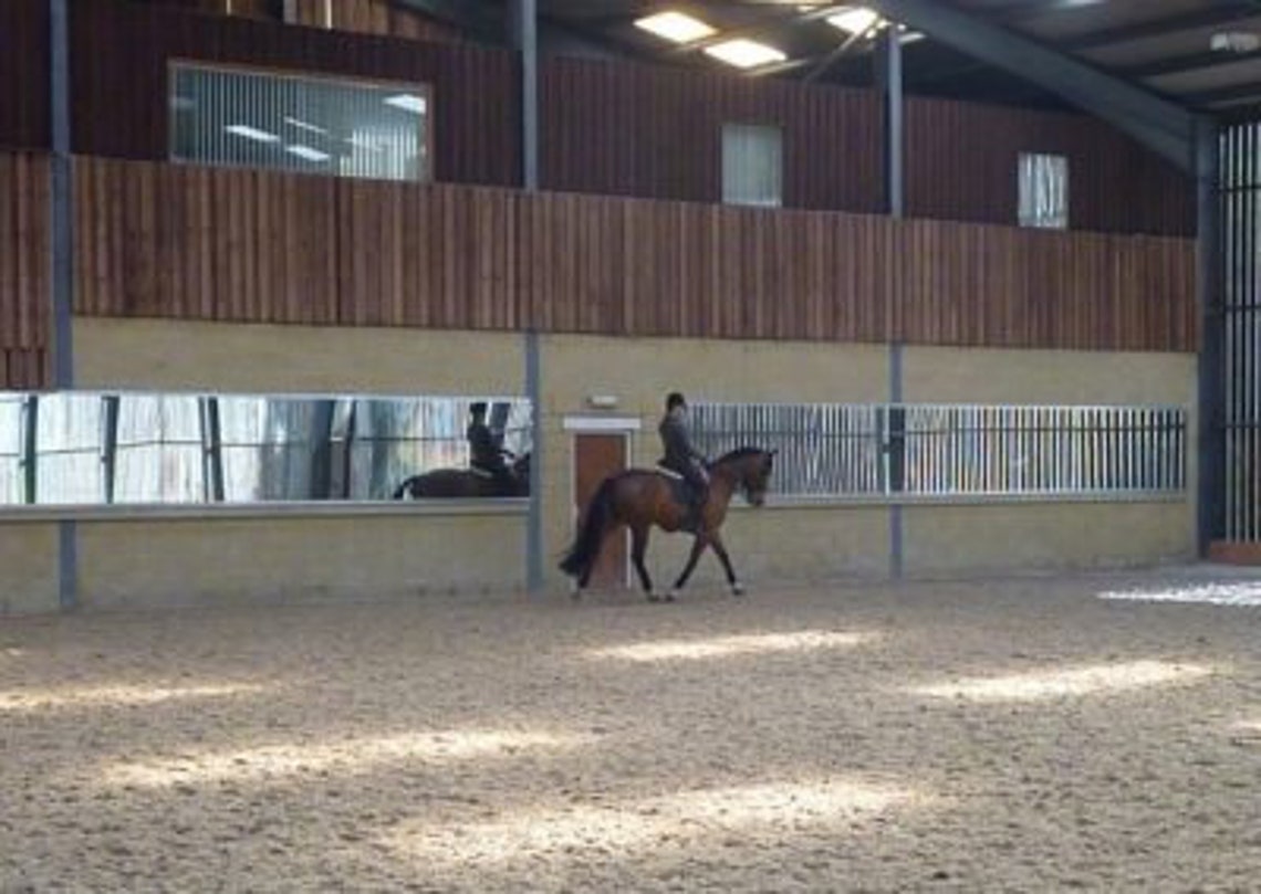 Dressage Arena Mirrors Outdoor/indoor Use Horse Training Improve Your ...