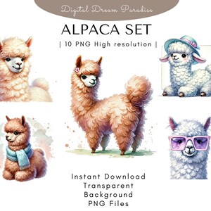 Alpaca Clipart Bundle With Transparent Backgrounds | 10 High Quality ...