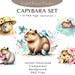 Capybara Clipart Bundle With Transparent Backgrounds | 10 High Quality ...