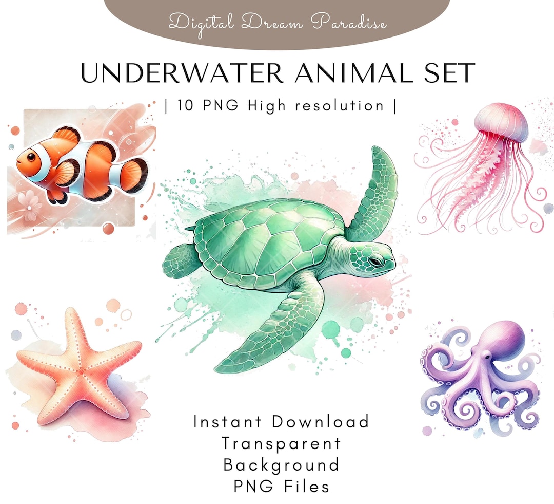 Underwater Animal Clipart Bundle With Transparent Backgrounds | 10 High ...
