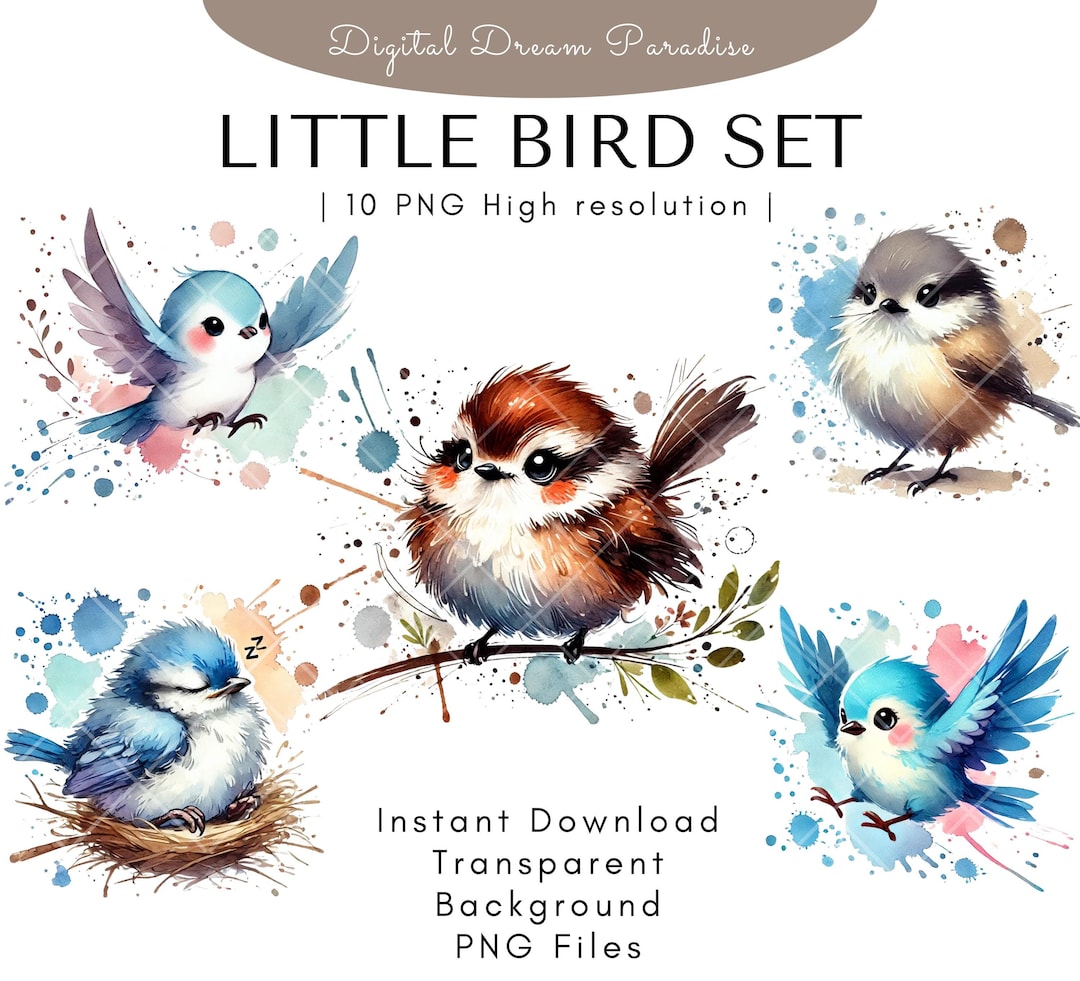 High Quality Little Bird Clipart Bundle With Transparent Backgrounds ...