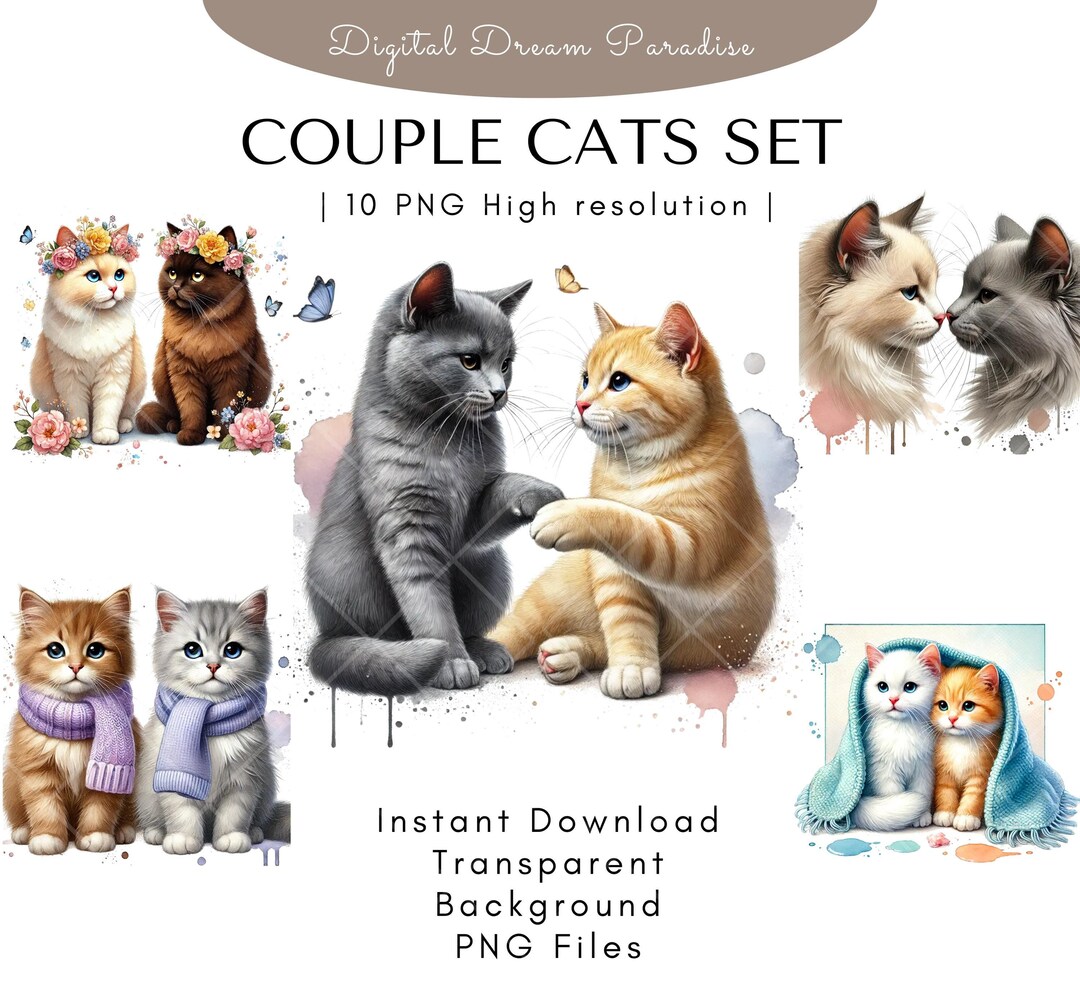 Couple Cats Clipart Bundle With Transparent Backgrounds | 10 High ...