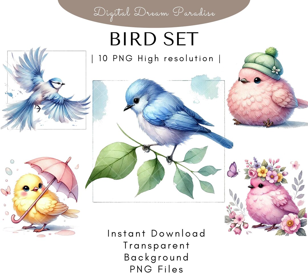 Bird Clipart Bundle With Transparent Backgrounds | 10 High Quality PNG ...