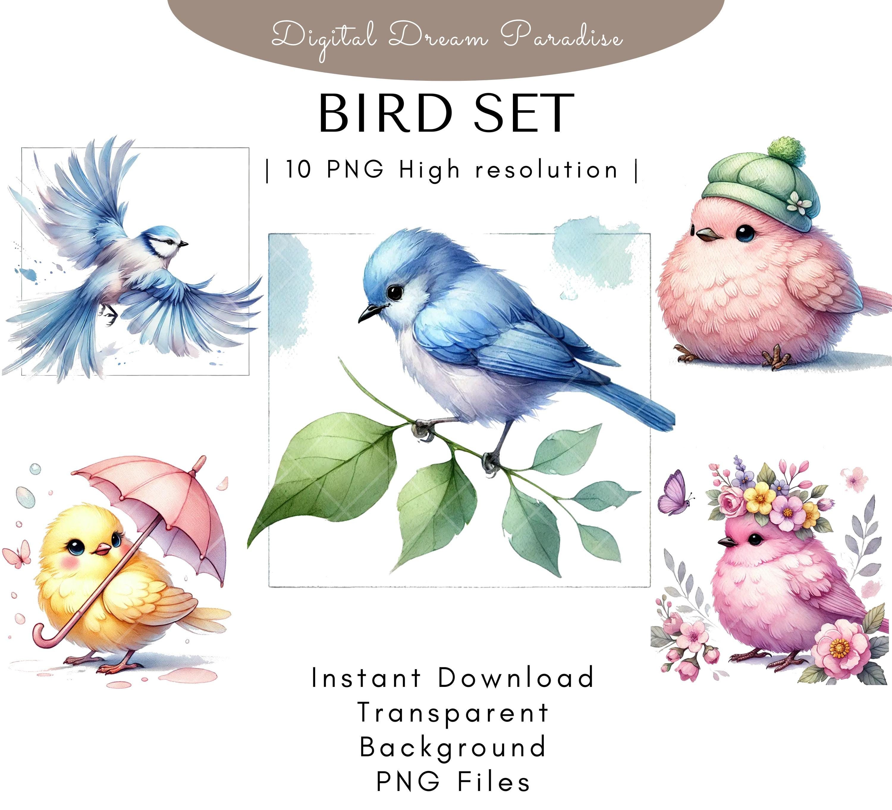 Bird Clipart Bundle With Transparent Backgrounds | 10 High Quality PNG ...