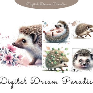 High Quality Hedgehog Clipart Bundle 3 With Transparent Backgrounds ...