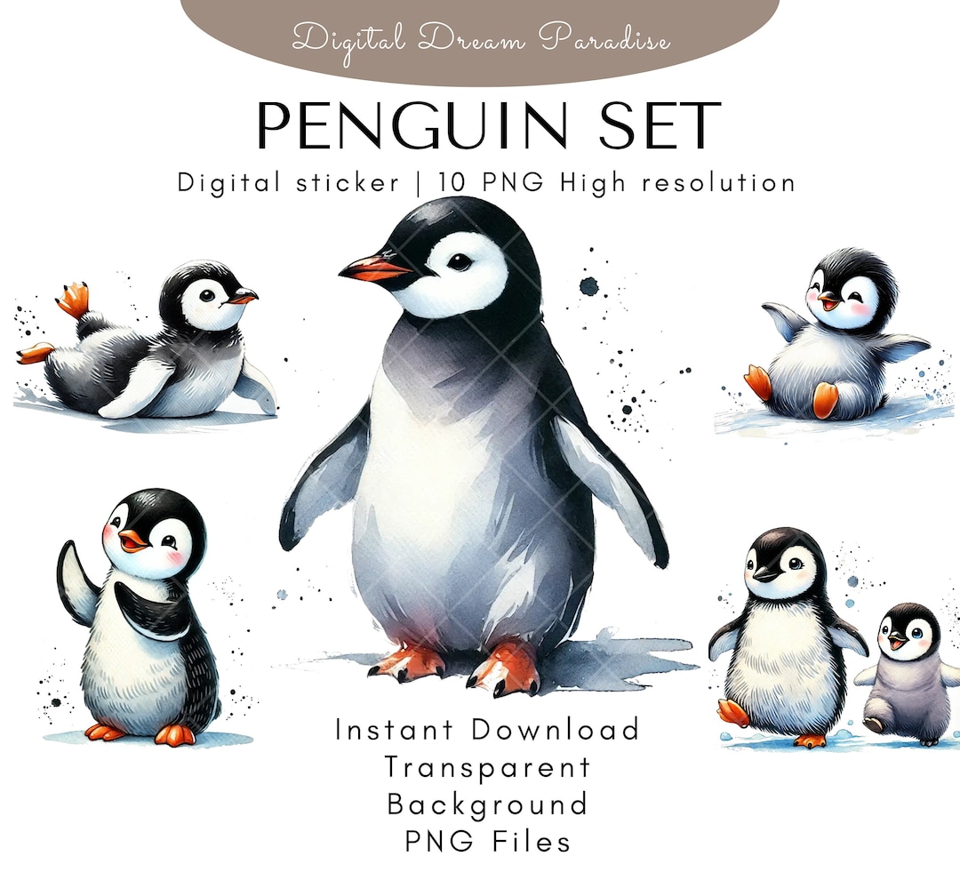 High Quality Penguin Clipart Bundle With Transparent Backgrounds | 10 ...