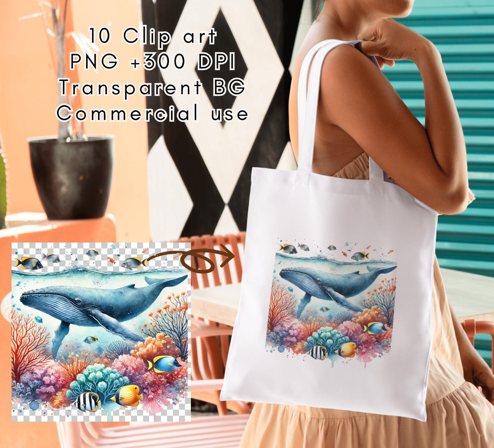 Whale Clipart Bundle With Transparent Backgrounds | 10 High Quality PNG ...