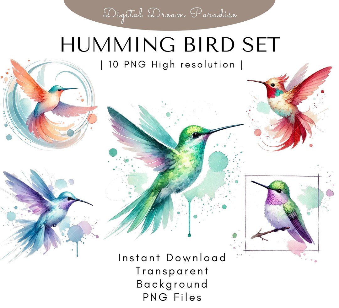 Humming Bird Clipart Bundle With Transparent Backgrounds | 10 High ...