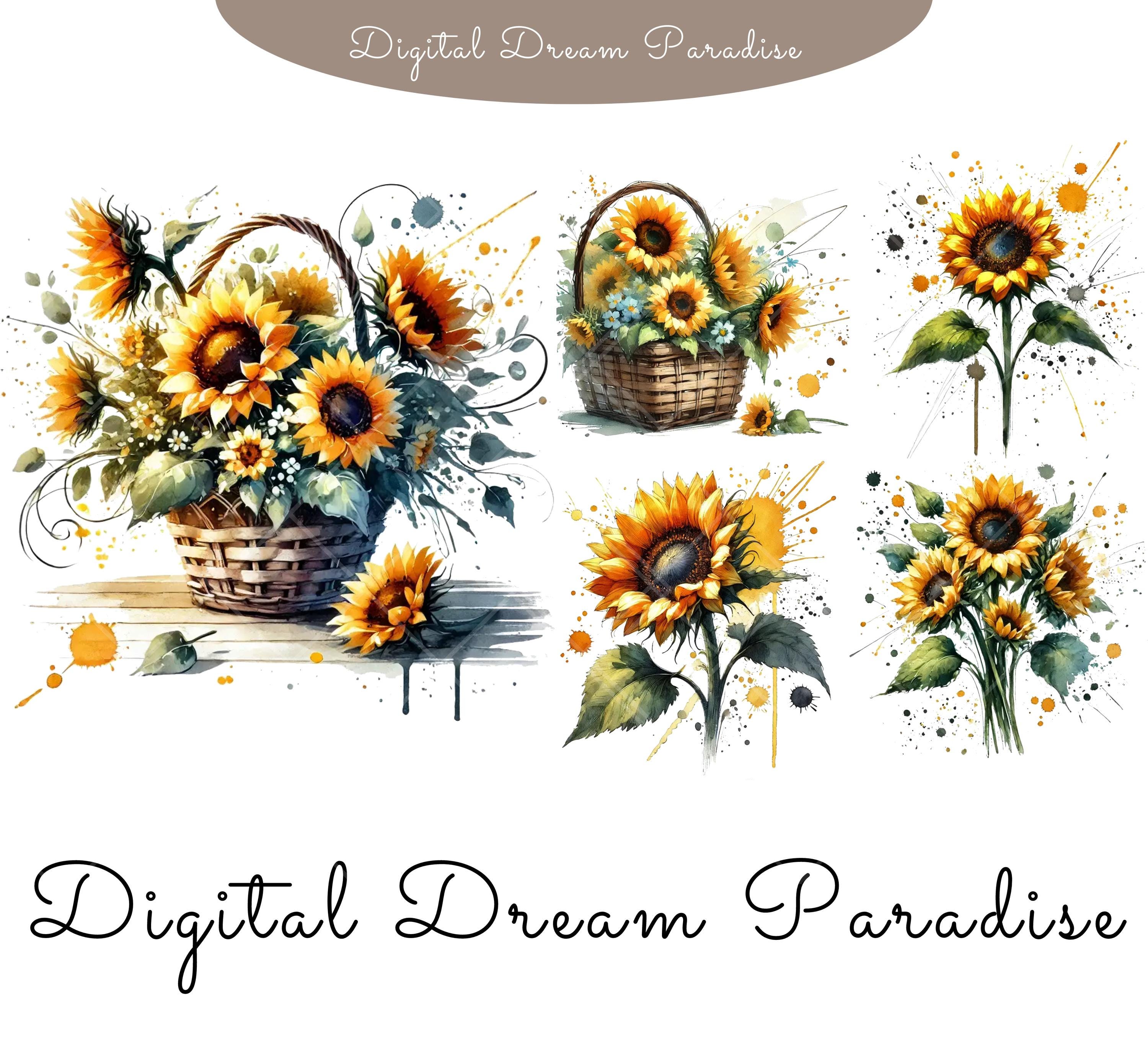 High Quality Sunflower Clipart Bundle With Transparent Backgrounds | 10 ...