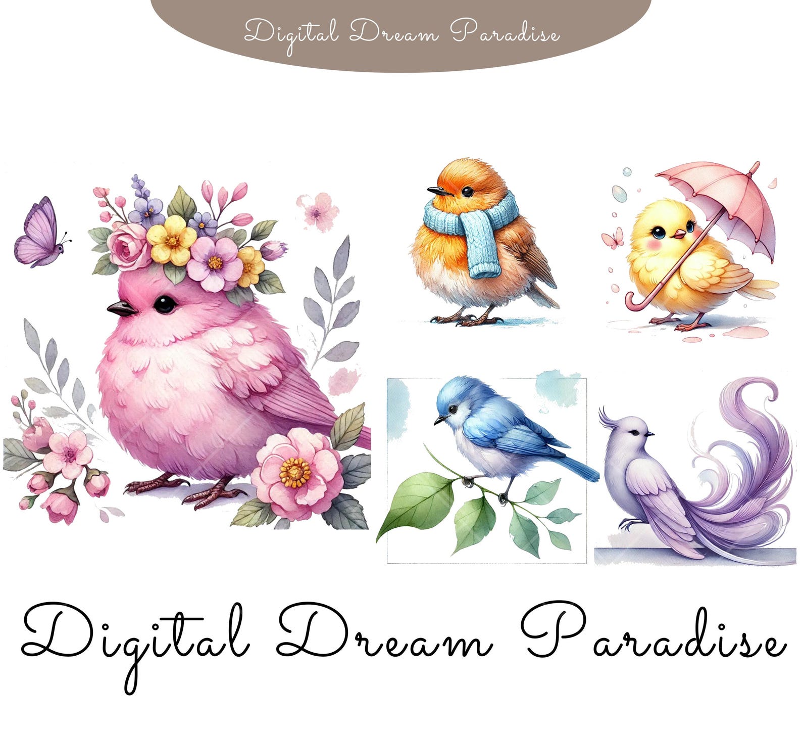 Bird Clipart Bundle With Transparent Backgrounds | 10 High Quality PNG ...