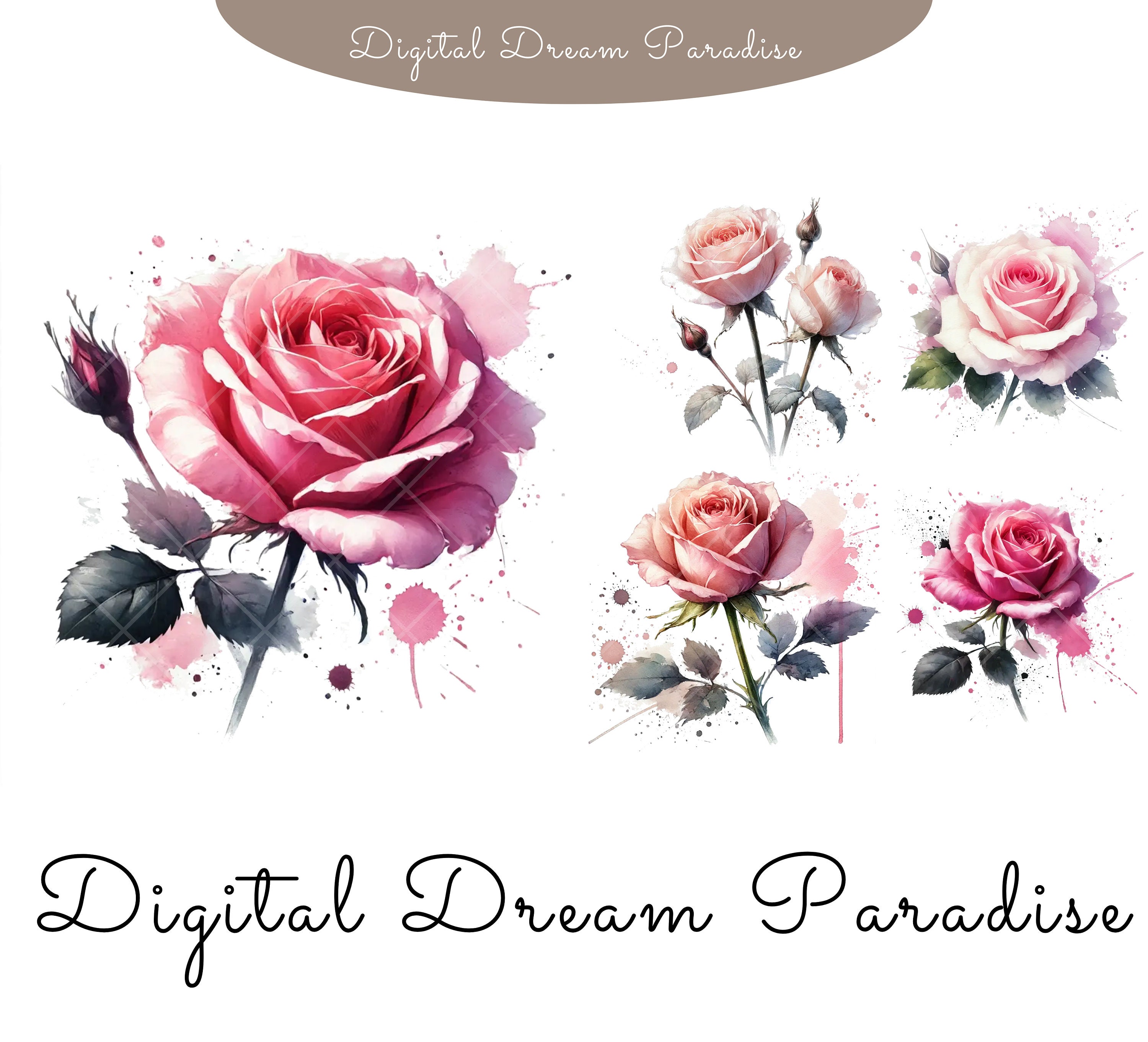 High Quality Pink Rose Clipart Bundle With Transparent Backgrounds | 10 ...