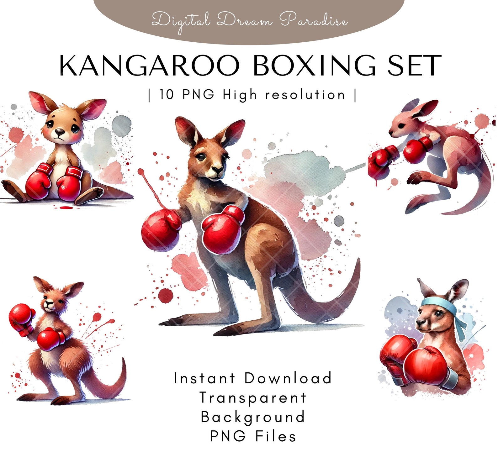Kangaroo Boxing Clipart Bundle With Transparent Backgrounds | 10 High ...