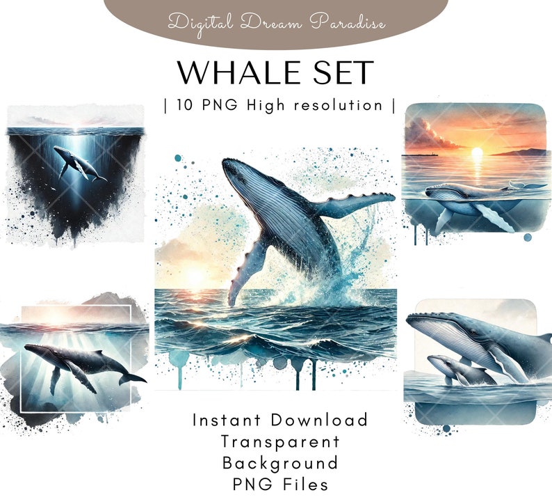 Whale Clipart Bundle With Transparent Backgrounds | 10 High Quality PNG ...
