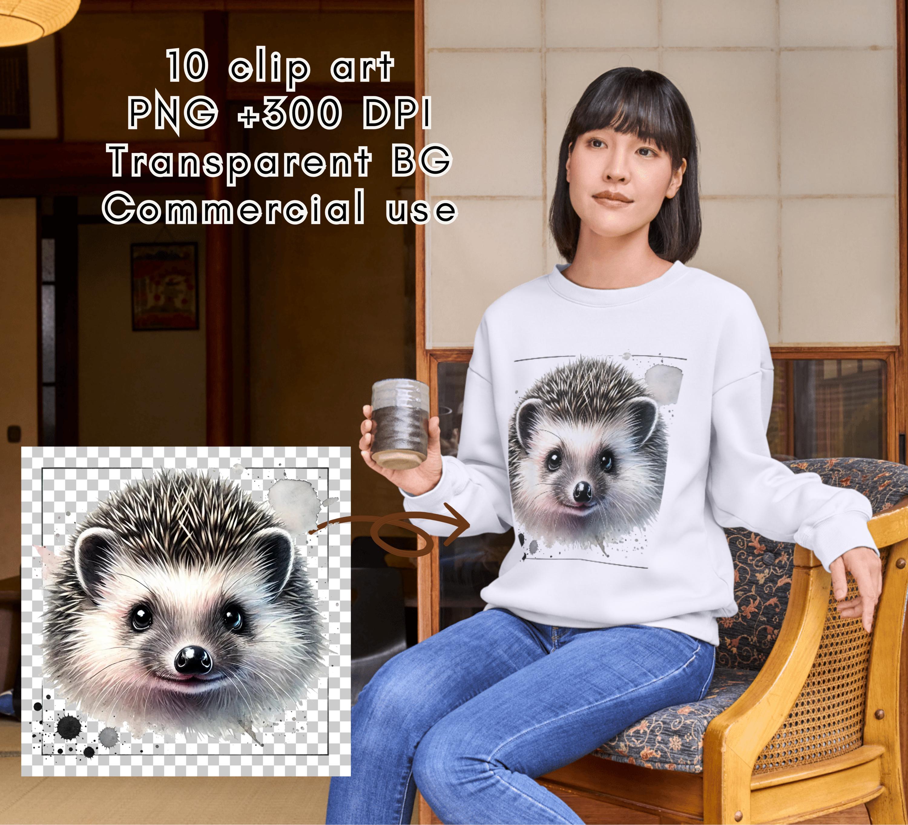 High Quality Hedgehog Clipart Bundle 3 With Transparent Backgrounds ...