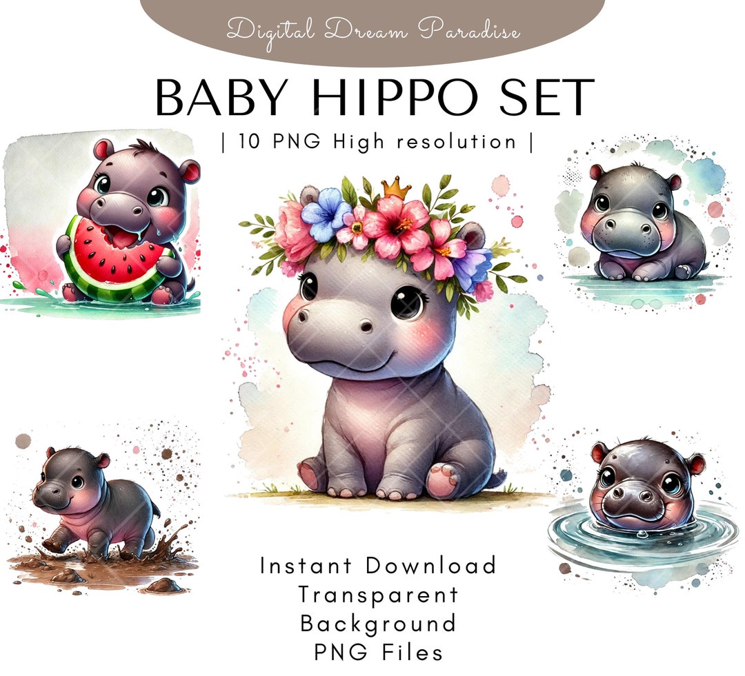 Baby Hippo Clipart Bundle With Transparent Backgrounds | 10 PNG ...