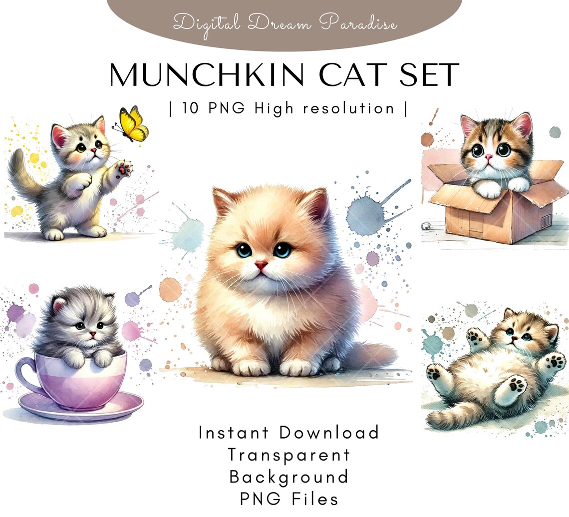 Munchkin Cat Clipart Bundle With Transparent Backgrounds | 10 High ...