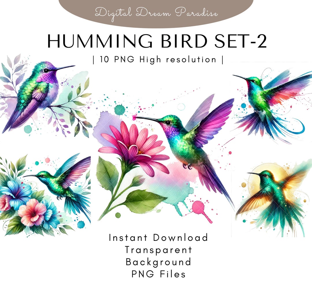 Humming Bird Clipart Bundle With Transparent Background | 10 High ...