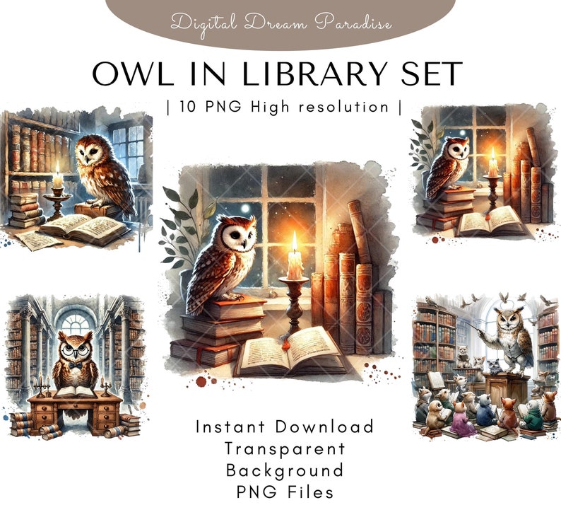 Owl in Library Clipart Bundle With Transparent Backgrounds | 10 High ...