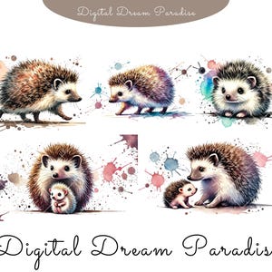 High Quality Hedgehog Clipart Bundle With Transparent Backgrounds | 10 ...