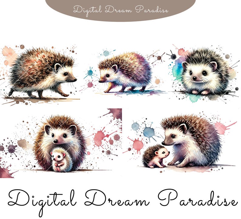 High Quality Hedgehog Clipart Bundle With Transparent Backgrounds | 10 ...
