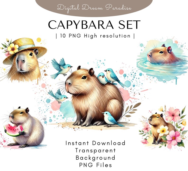 Capybara Clipart Bundle With Transparent Backgrounds | 10 High Quality ...