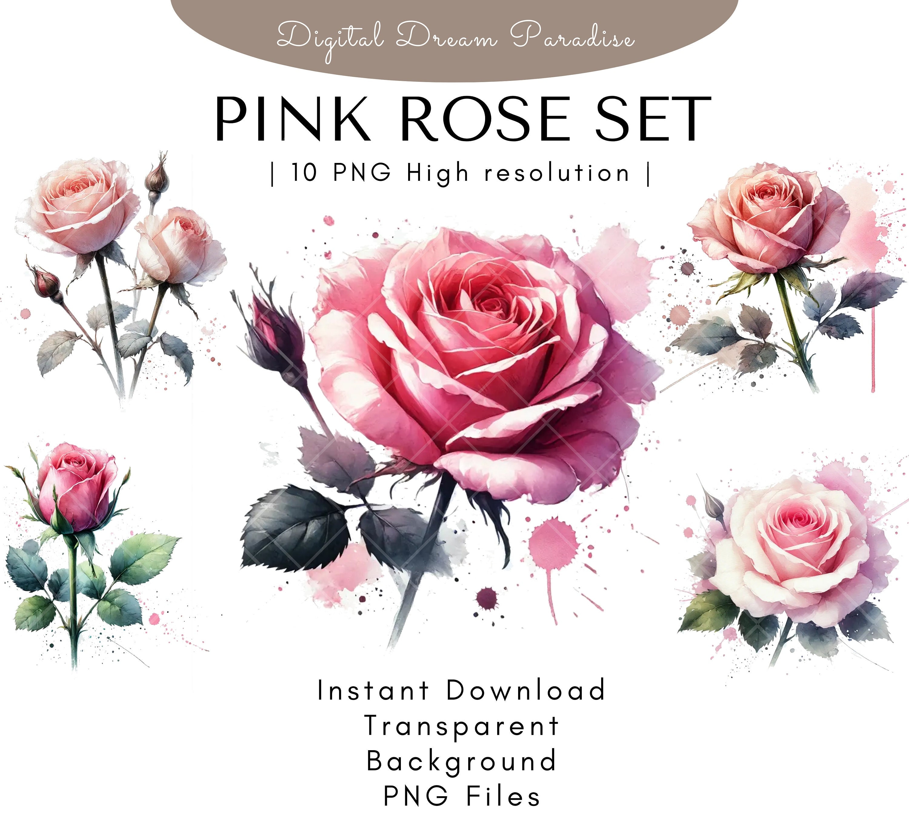 High Quality Pink Rose Clipart Bundle With Transparent Backgrounds | 10 ...
