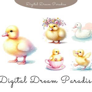Duck Clipart Bundle With Transparent Backgrounds | 10 High Quality PNG ...