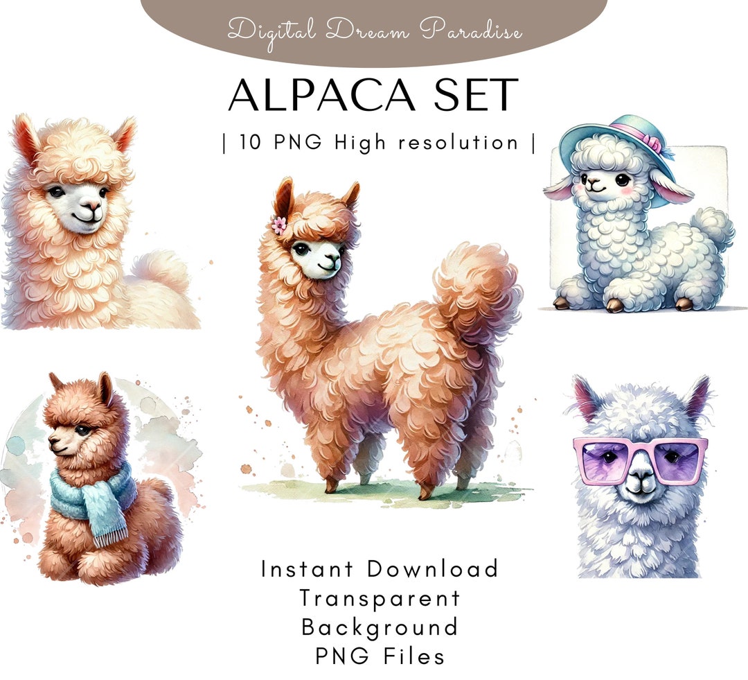 Alpaca Clipart Bundle With Transparent Backgrounds | 10 High Quality ...