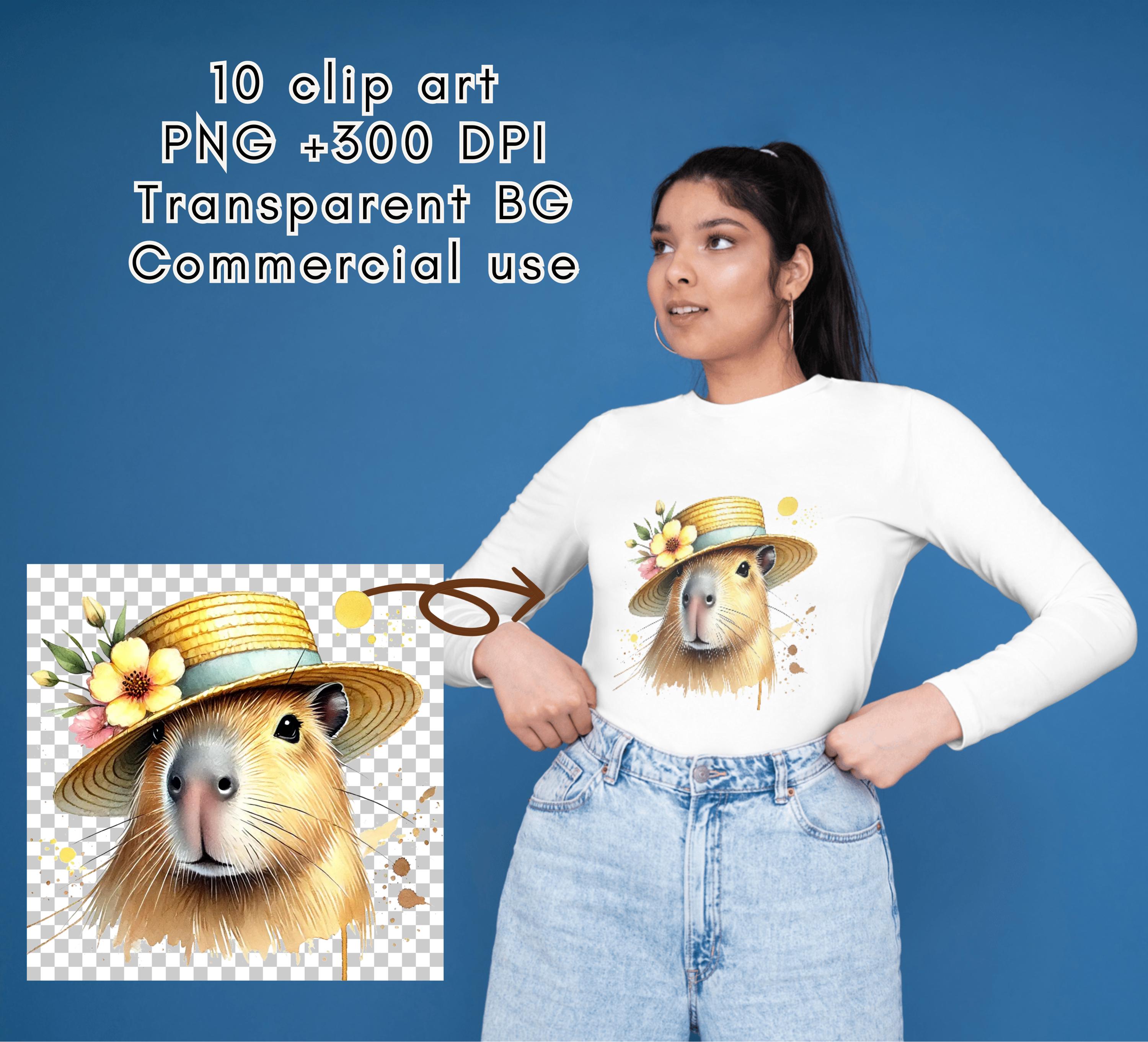 Capybara Clipart Bundle With Transparent Backgrounds | 10 High Quality ...