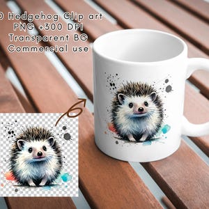High Quality Hedgehog Clipart Bundle With Transparent Backgrounds | 10 ...