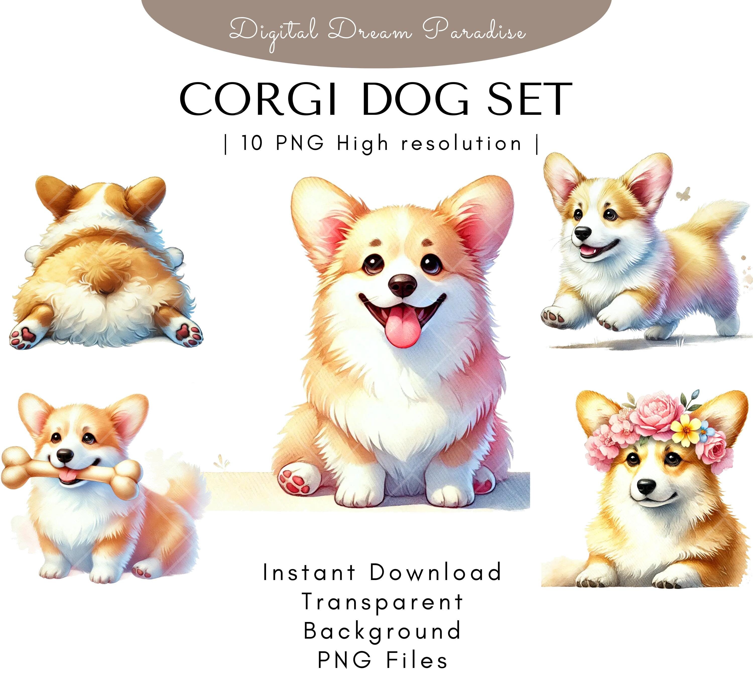 Corgi Dog Clipart Bundle With Transparent Backgrounds | 10 High Quality ...