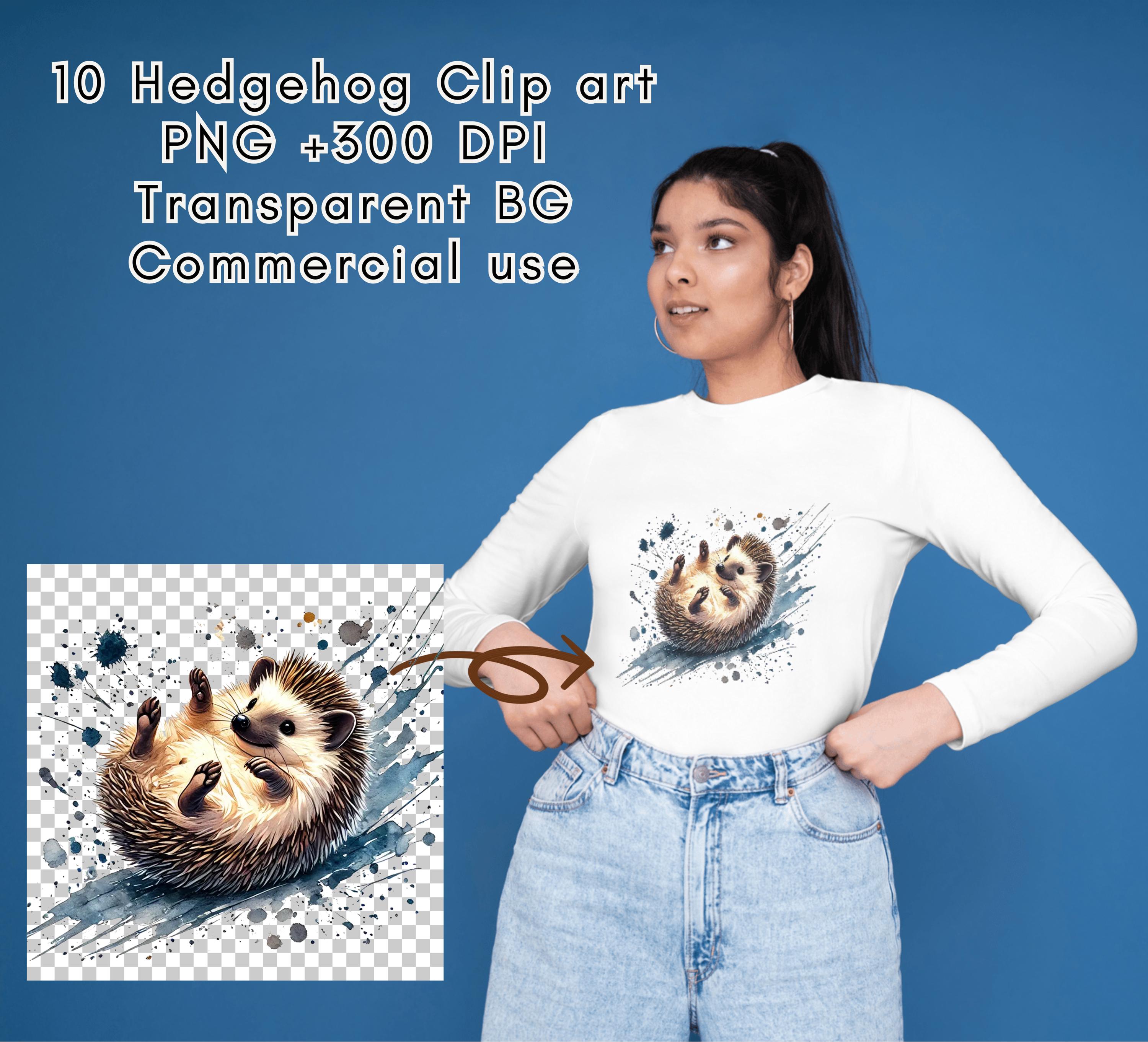High Quality Hedgehog Clipart Bundle With Transparent Backgrounds | 10 ...
