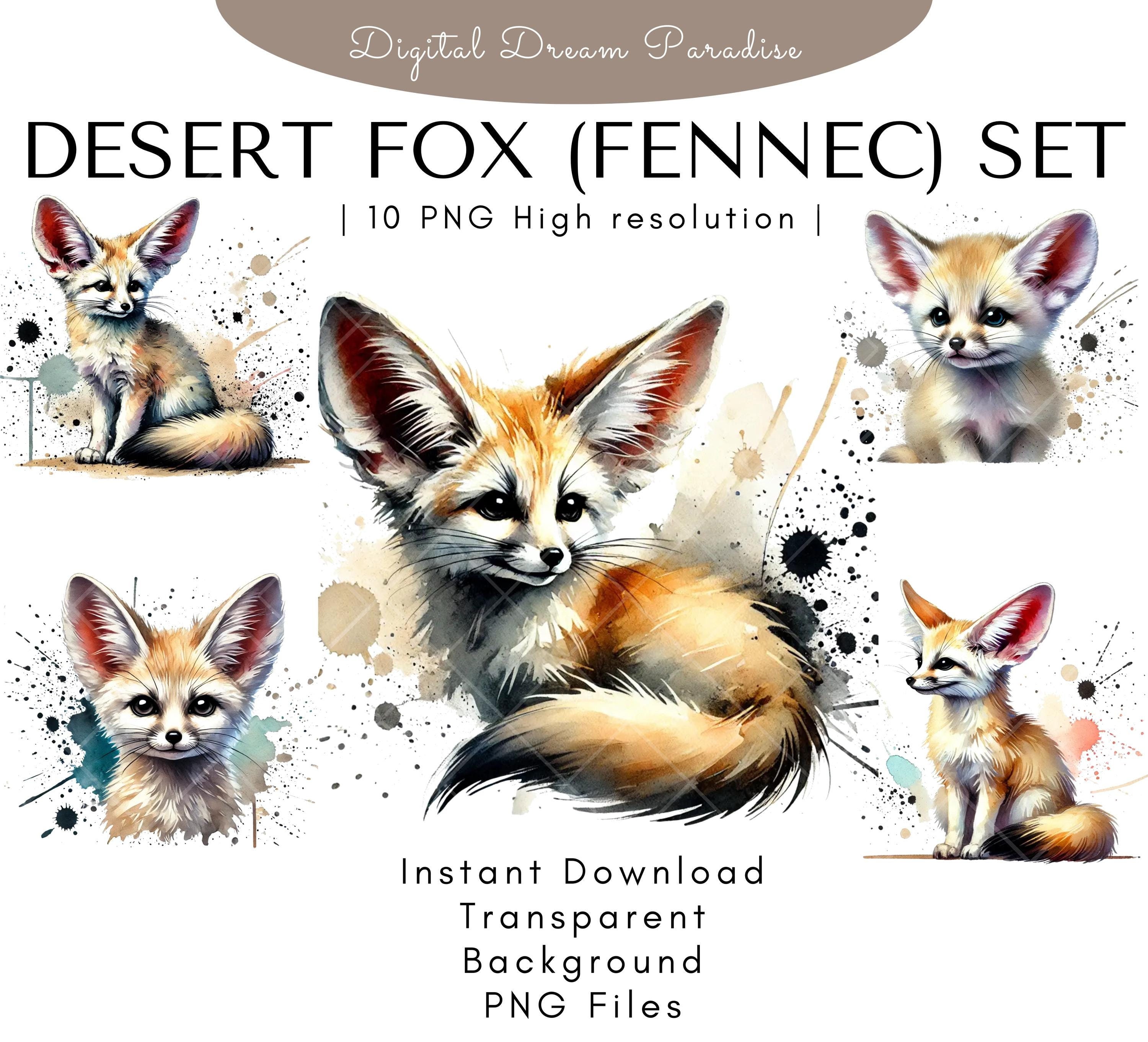 High Quality Desert Fox (fennec) Clipart Bundle With Transparent ...